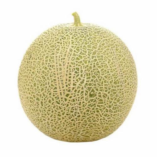 Jual buah melon hijau segar utuh - Kota Bandung - DVA fashion and ...