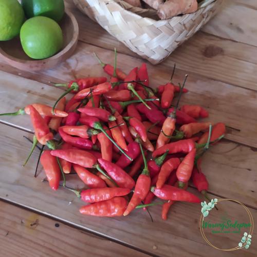 Jual Cabe Jablay Segar per bungkus - 500gr - Kab. Bekasi ...