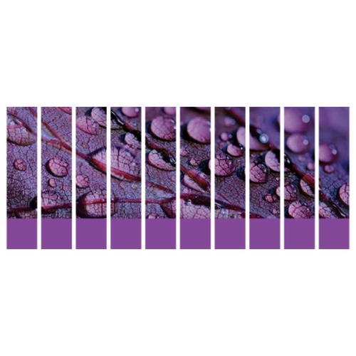 Jual IQOS Heets Heatstick Original Slope Puntung Rokok Segel ORI - Blue ...