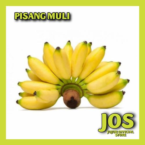 Jual PISANG MULI FRESH - Jakarta Utara - JUJUR OFFICIAL STORE | Tokopedia
