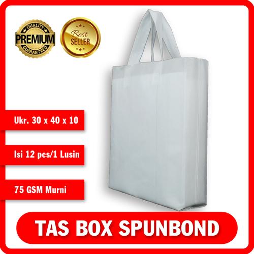Jual GOODIEBAG BOX HANDLE SPUNBOND 30X40X10- Tas Belanja Polos- PUTIH ...