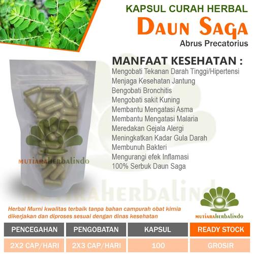 Promo DAUN SAGA 100 Kapsul Herbal Asma Sakit Kuning Alergi Hipertensi ...