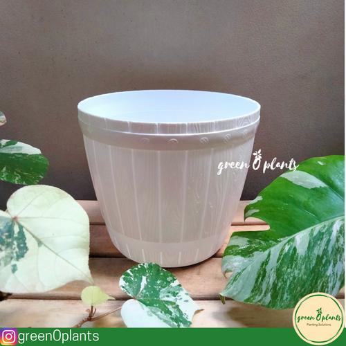 Jual Pot Plastik Tanaman / Bunga Lovenia Gentong Putih Tipe 22 - Kota ...