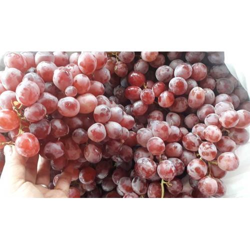 Jual Buah Anggur - 1/2 kg - Kota Medan - Laukpauk Medan | Tokopedia