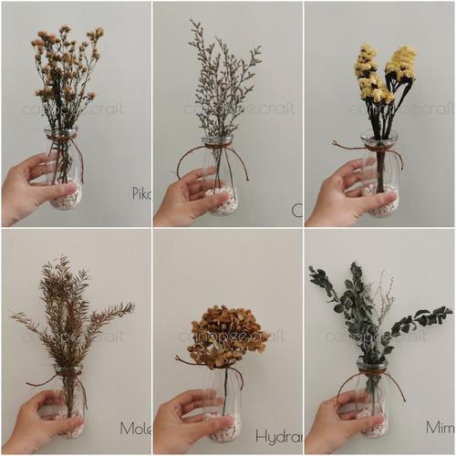 Jual Bunga Kering dengan Vas Kaca - Mimosa+vas - Kota Semarang - Dried ...