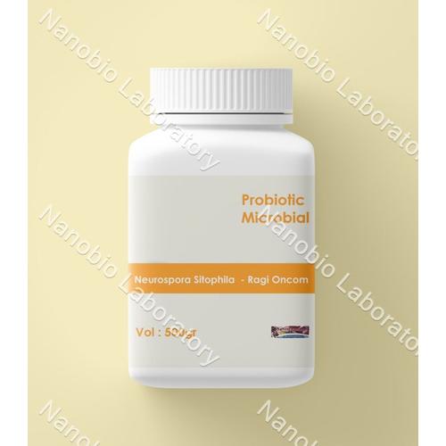 Jual Ragi Oncom Merah Neurospora Sitophila 500gr | Bahan Fermentasi ...