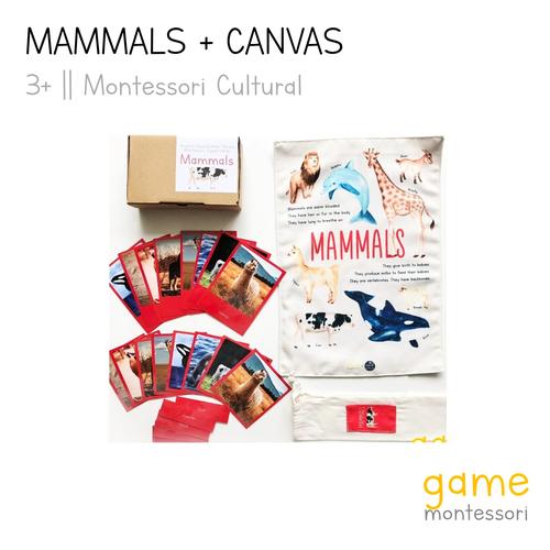 Jual Montessori Animal Classification Canvas Mammals, Birds, Reptiles ...