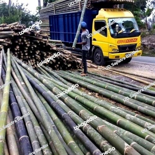 Jual Jual Bambu steger 8-10cm - Jakarta Timur - UD.Saputra Bambu ...