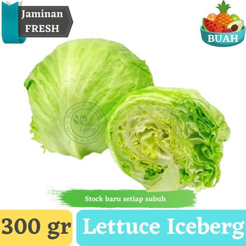 Jual Lettuce 300 gram | Selada Bokor Fresh Tinggi Serat - Sale 300gr ...