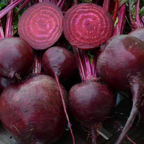 Jual 1 Biji Bibit Benih Ruby Beet Bit Merah - Jakarta Selatan ...