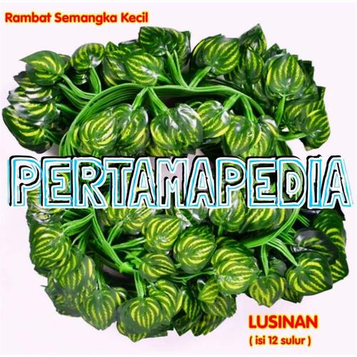 Jual Lusinan Srigading Kecil/Daun Rambat/Rumput Plastik/Busa Bunga ...