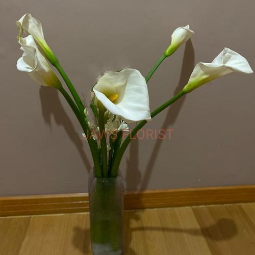 Jual Bunga Calla Lily Putih Fresh - Jakarta Barat - JAWS FLORIST ...