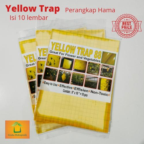 Jual Paper Yellow Trap Kertas Kuning Perangkap Hama Tanaman isi 10 ...