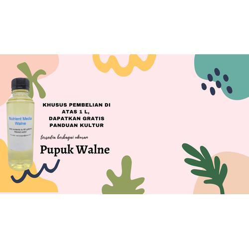 Jual 500 ml- Pupuk Mikroalga Fitoplankton Walne medium Spirulina Media ...