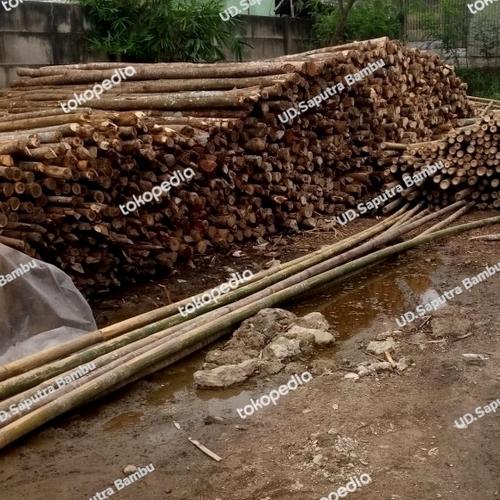 Jual Kayu Dolken 10-12cm termurah jakarta - Jakarta Timur - UD.Saputra ...