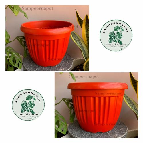 Promo pot bunga tanaman plastik Grace 30 kuping - GRACE 30 KUPING MERAH ...