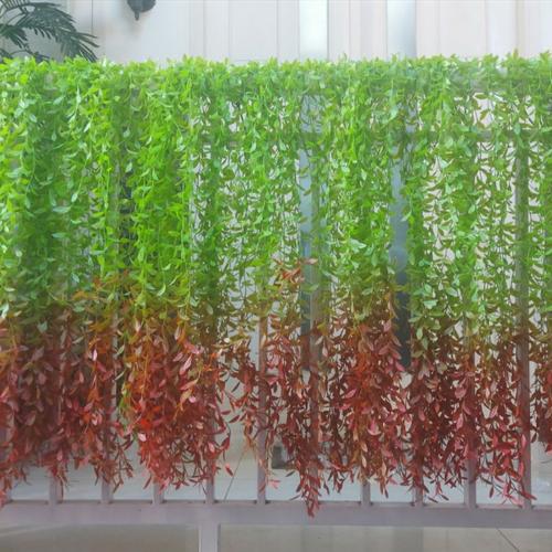 Jual daun rambat hoya costa tanaman artificial - Kota Bandung - D''TOYS ...