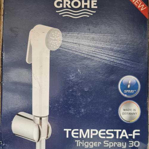 Jual GROHE TEMPESTA F TIGGER SPRAY 30 JET SHOWER 27812IL1 - Jakarta ...