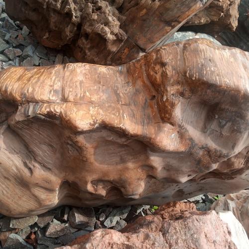 Jual PETRIFIED WOOD • BATU FOSIL KAYU NATURAL • HQ LIMITED EDITION ...