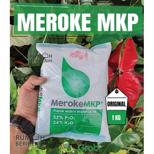 Jual Pupuk Makro Majemuk Meroke MKP Nutrisi Hidroponik Masa Pembuahan ...