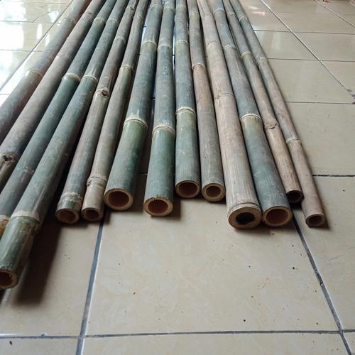 Jual jual batang bambu potong panjang 150 cm diameter 6 cm - Kab ...
