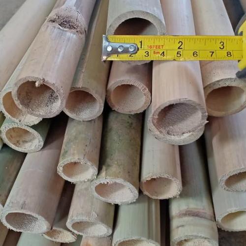 Jual TONGKAT/TOYA PRAMUKA 160cm BAHAN BAMBU POLOS - Kab. Pangandaran ...