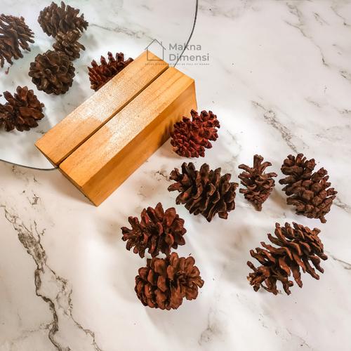 Jual Buah Pinus Kecil / Bunga Pinus / Pinus / Rustic / Props Foto ...
