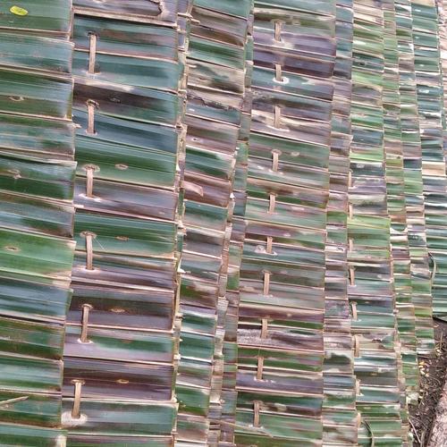 Jual atap daun rumbia/ daun dahon - Kab. Pangandaran - Lagoona Fresh ...