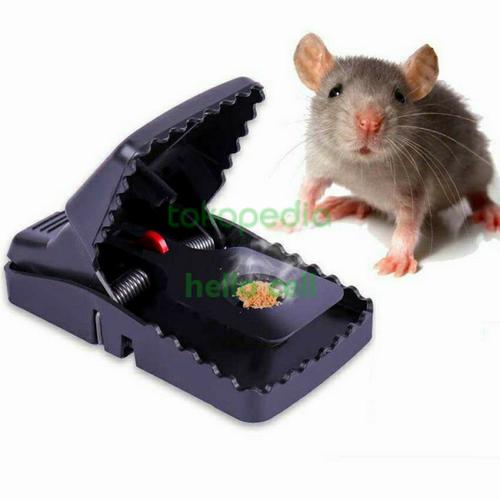 Jual Perangkap Jebakan Tikus TRAP CAGE lebih efektif dari Lem Racun ...