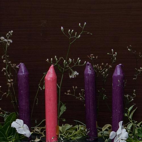 Jual Lilin Advent isi 4 Lilin Paskah Lilin Natal Ungu ( Uk. 2,5 x 15 cm ...