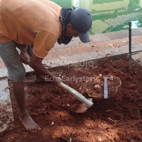 Jual LAYANAN CABUT AKAR POHON TEBANG POHON #cabutakar #tebangpohon ...