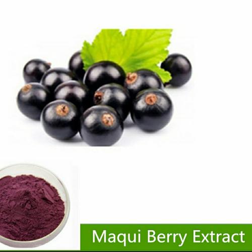 Jual Maqui Berry Extract Powder 25 gram/Brightening Skin - Jakarta ...