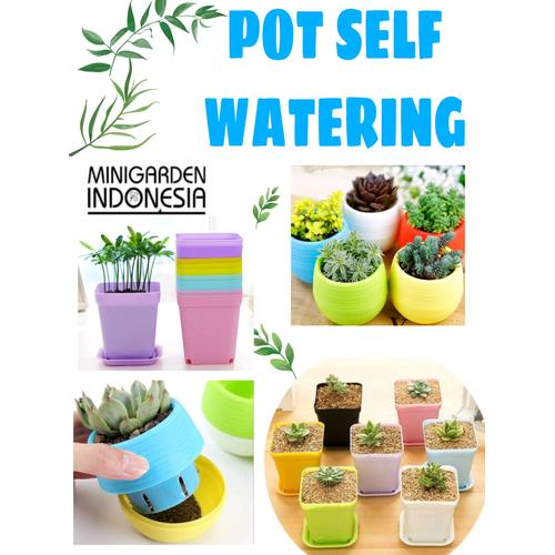 Jual POT MINI SELF WATERING POT BUNGA TANAMAN HIAS SEKULEN SIRAM ...