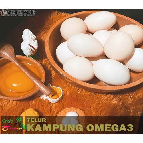 Jual Telur Ayam Kampung Merah/Omega - Jakarta Barat - SINAR BINTANG ...