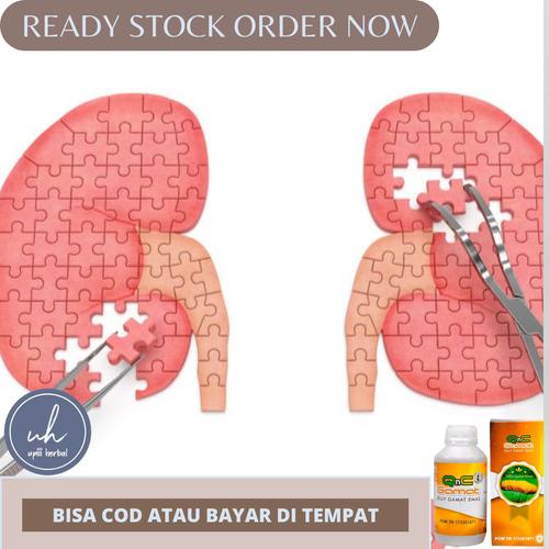 Jual OBAT HERBAL GINJAL,GINJAL BOCOR,SINDROM NEFROFIK,GINJAL KRONIS,DLL ...