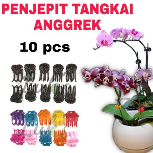Jual PENJEPIT TANGKAI ANGGREK 10 pcs pengikat tangkai anggrek tanaman ...