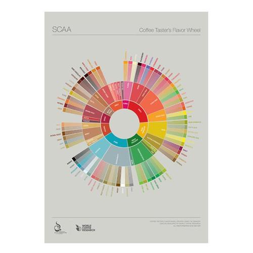 Jual Poster Panduan Aroma dan Rasa Kopi (SCAA Lexicon Flavour Wheel ...