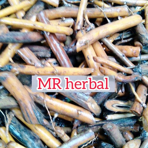 Jual Akar pohon aren segar per 1 kg - Kab. Bandung Barat - MR_Herbal12 ...