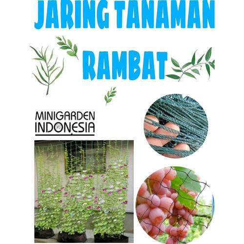Jual 1 METER JARING TANAMAN RAMBAT TALI TERALIS NET RAMBATAN CLIMBING ...