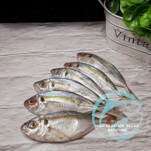 Jual Ikan Selar Segar / Ikan Laut Fresh / Seafood - Kota Bandung ...