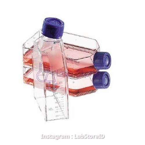 Jual Tissue Culture Flask with Filter Cap, PS 25cm2 Sterile | Biologix ...