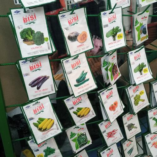 Jual tanaman bibit buah dan sayur - pak choy - Kab. Bandung Barat ...