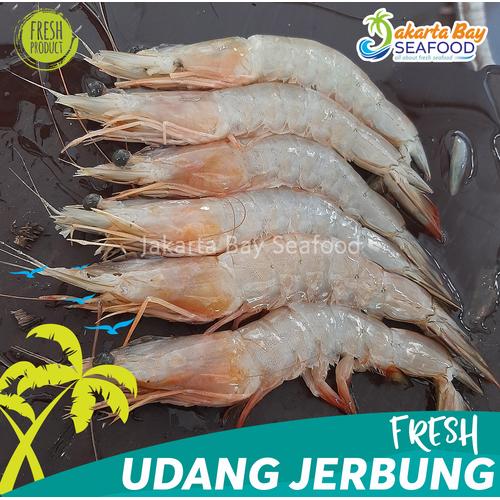 Jual Udang Jerbung 500 Gram / Udang Laut / Udang Peci Frozen / Fresh ...