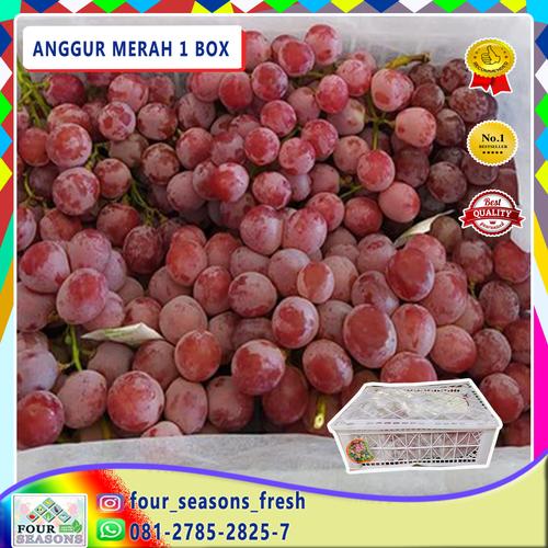 Jual TERLARISSS 1 BOX BUAH ANGGUR MERAH 1 KERANJANG MANIS SEGAR - Kota ...