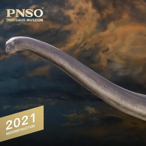Jual PNSO Museum Line Erma the Mamenchisaurus - Kota Tangerang - Dino ...
