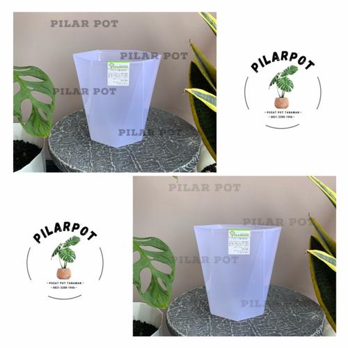 Jual Pot bunga tanaman tinggi tabitha diamond 20 - BENING TRANSPARAN 20 ...