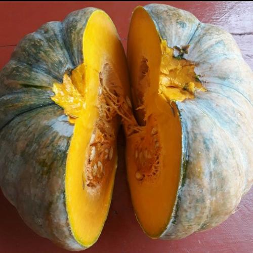 Jual Labu kuning/waluh koneng 1 kg - Kota Bandung - Kios Ikan Segar ...