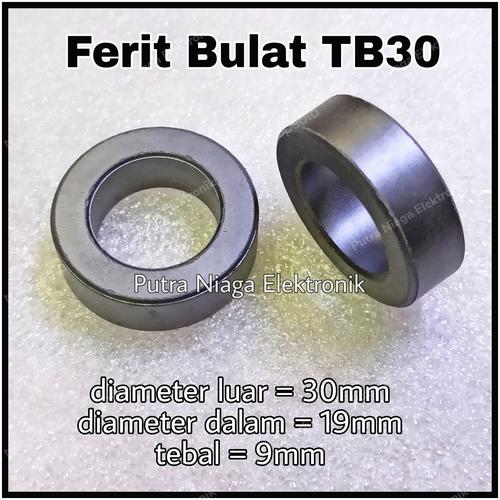 Jual Ferit Core Bulat Hitam TB30 Ferite Ring Toroid Toroida - Kota ...
