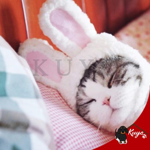 Jual Bando Kostum Kucing Anjing Bentuk Telinga Kelinci Cat Rabbit Head ...