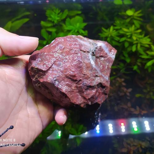 Jual Batu Kreket Merah 1kg Untuk Disain Aquascape - Kota Depok ...
